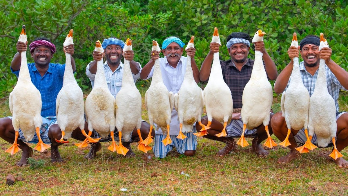 DUCK | 10 Duck Fry Recipe Cooking in Village | Vathu Varuval | Village ...